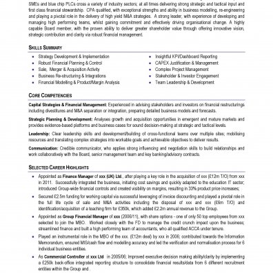 Professional CV Format Free Download For 2015 - 2016